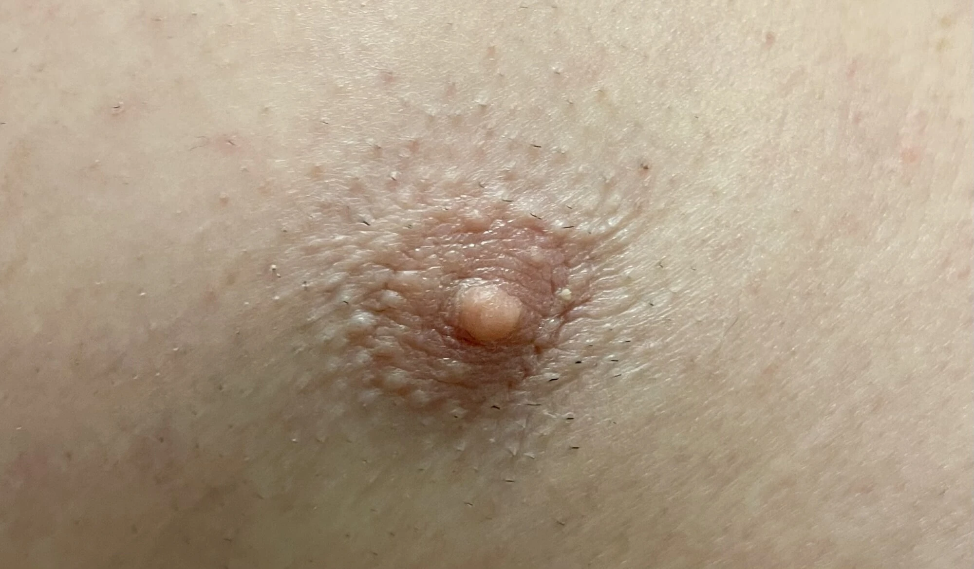 Anal Gaping Sex Toy Cum Shot Shot Dildo Anal Pics 25 Nude Pics 2731