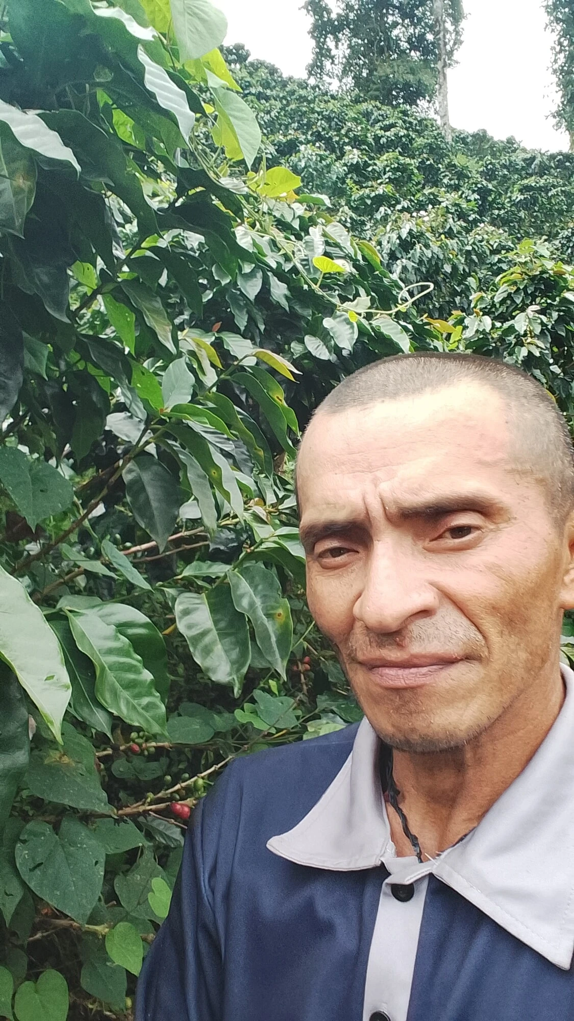 Vídeos Porno Gay De Colombianos Más Nuevos Xhamster