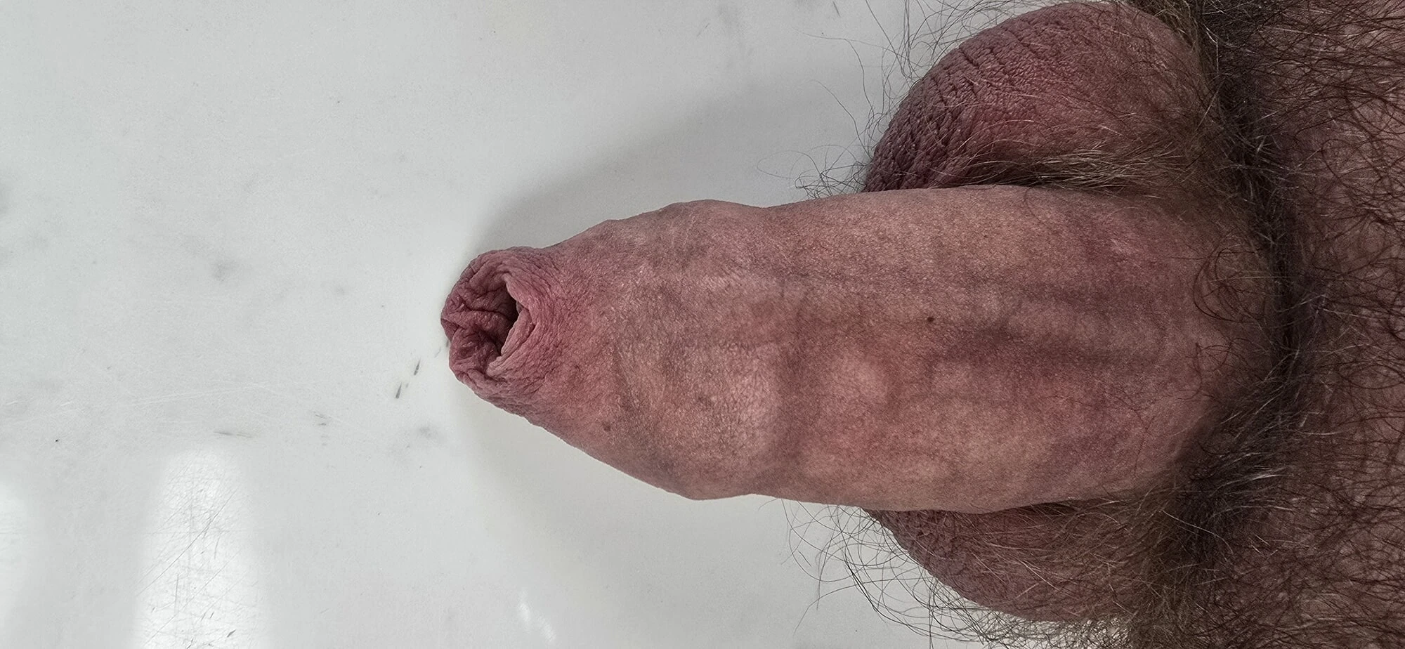 Behaart, unbeschnittener schwanz, riesige vorhaut, nahaufnahme, kunst - 34 Pics | xHamster