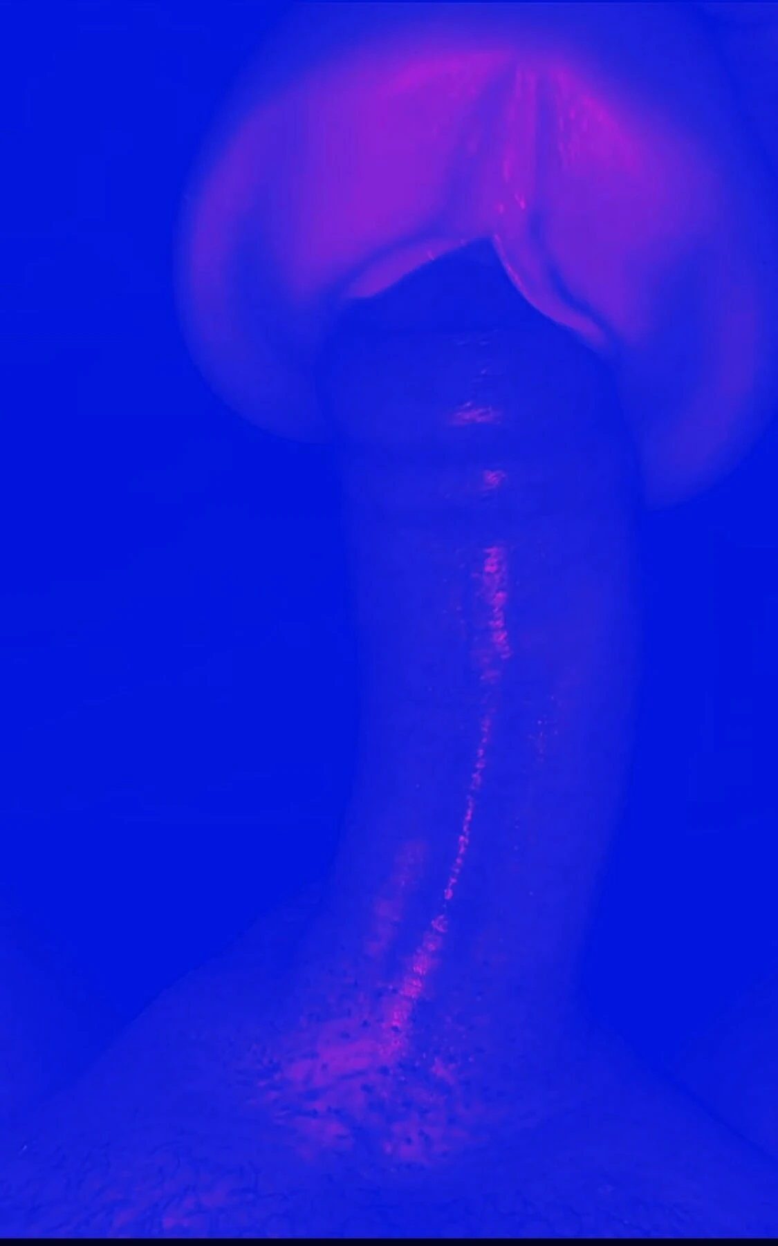 Blowjob Gay Porn Pics Nude Men In Free Sex Photos Xhamster