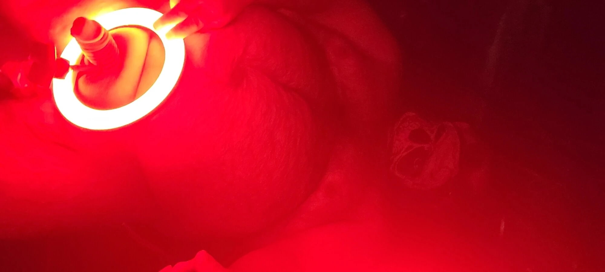 My All New Real Full Nudes Naked Cool Red Picture 4 Pics Xhamster