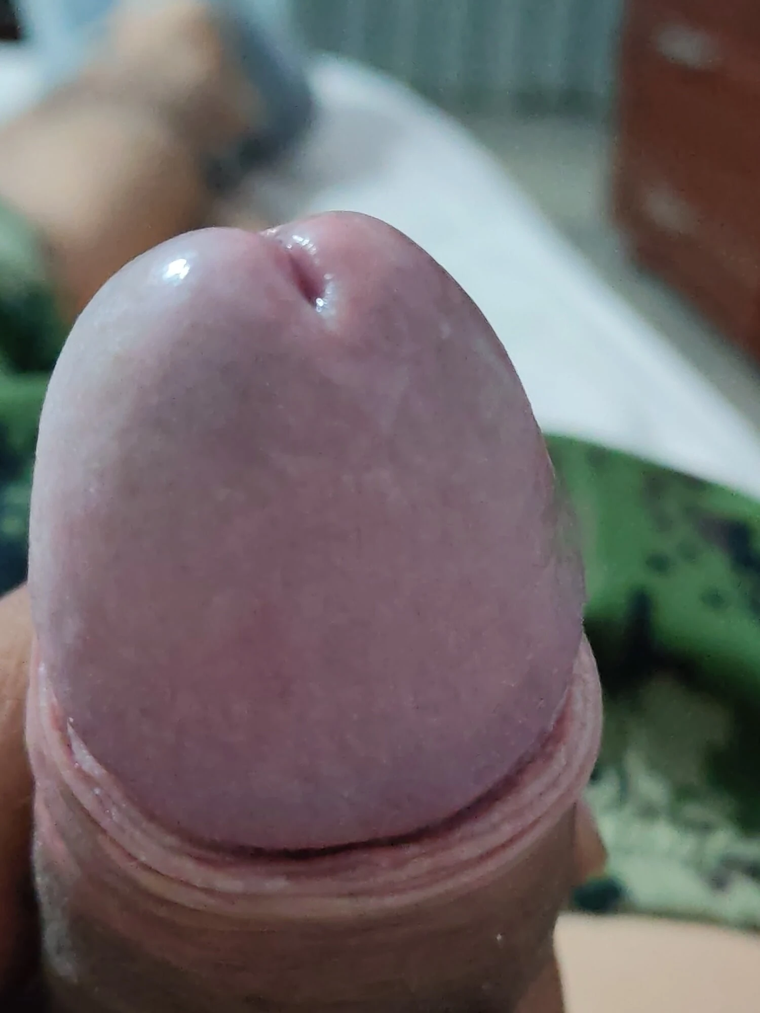 Vídeos Porno Gay De Colombianos Xhamster